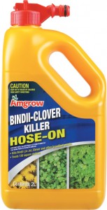 Bindii - Amgrow