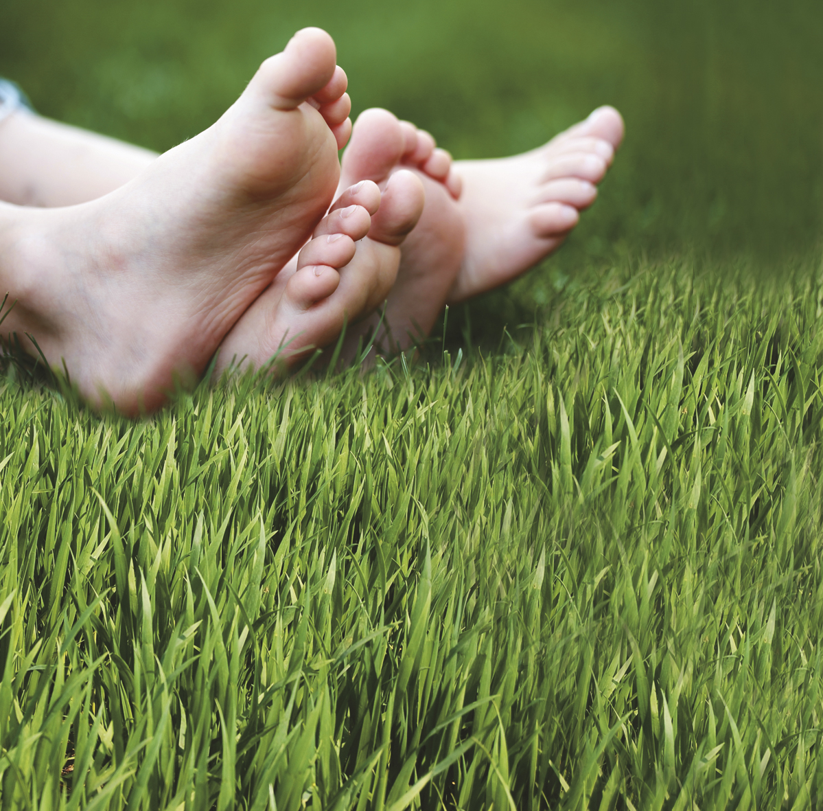 Lawns - Amgrow Home Garden